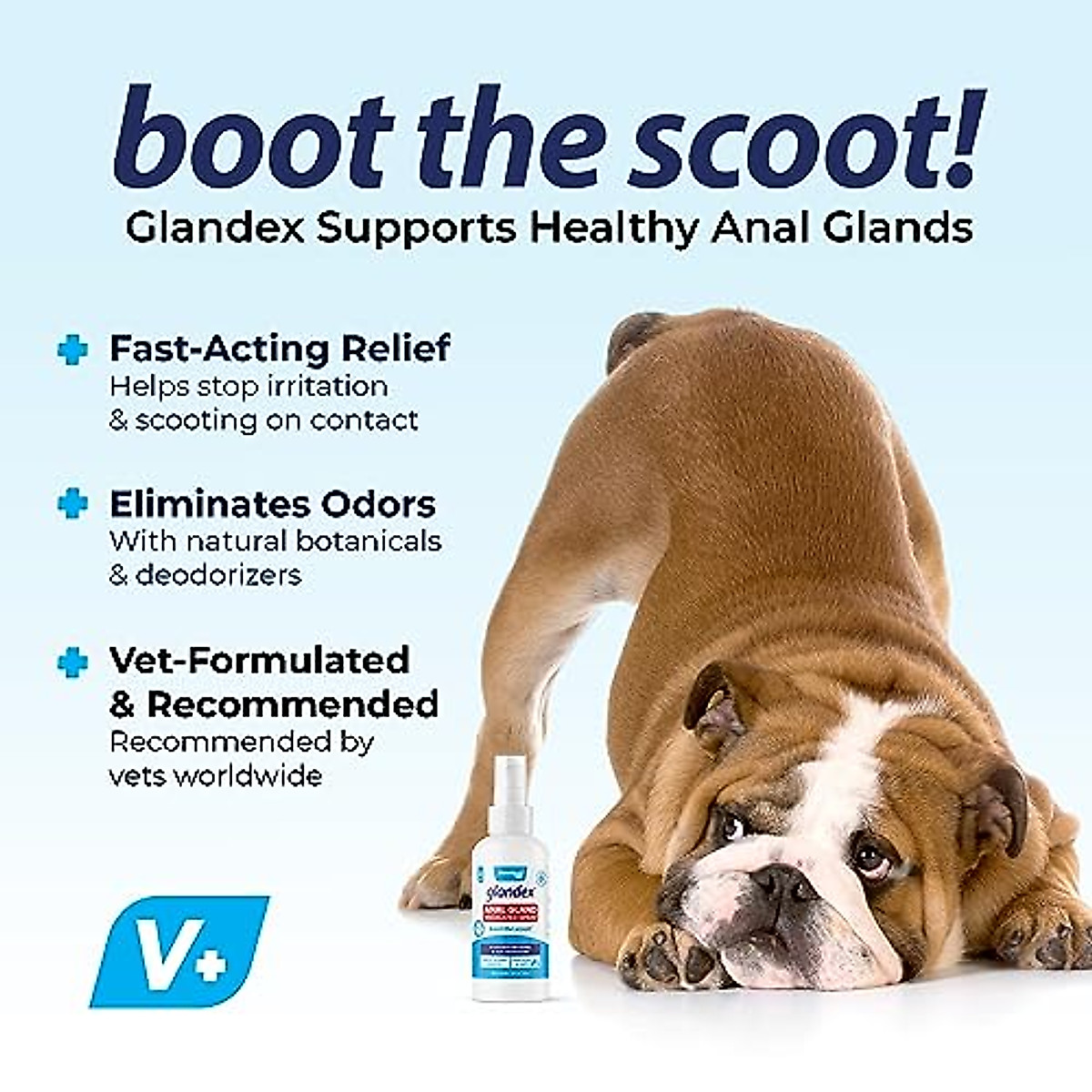 Glandex Medicated Dog Anal Gland Spray - Pain Relieving & Anti-Itch Formula to Soothe Inflamed Anal Glands in Dogs & Cats - Fast Acting Clinical Formula - Vet Recommended - Boot The Scoot (4oz)