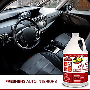 OdoBan Professional Series Ready-to-Use Air Cherry Liquid Air Freshener, 2-Pack, 1 Gallon Each, Cherry Scent