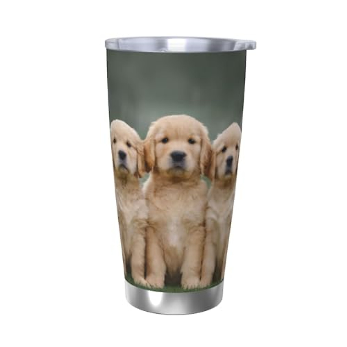 NHJKLWQSZ Golden Retrievers 20oz Stainless Steel Tumbler With Lid And Straw, Double Wall Vacuum Insulated Coffee Mug Travel Cups Leak-Proof Lid For Hot And Cold Drinks, Metal Straws And Brush