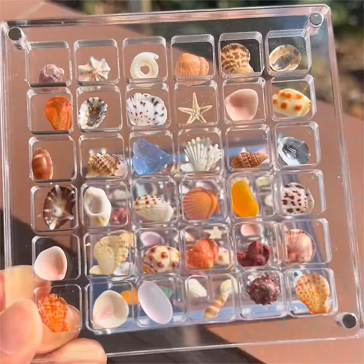 XronSlute Acrylic Magnetic Seashell Display Box,DIY Seashell Display Box,Clear Storage Box for Seashell,Gemstones,Nail,Jewelry (1Pc 36 Grids Small)