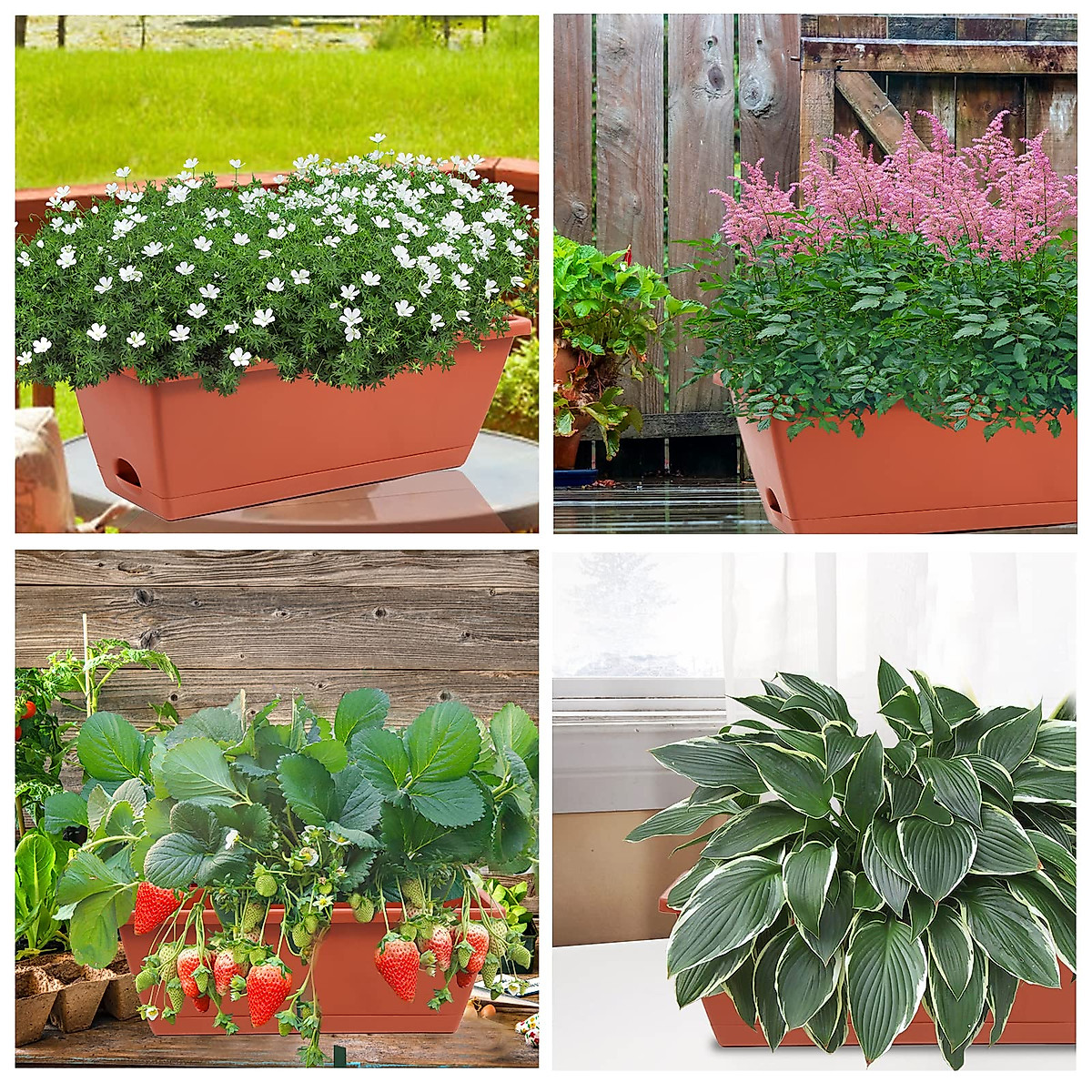 8pcs Window Box Planter,17 Inches Flower Window Boxes, Rectangle Planters Box with Drainage Holes and Trays, Plastic Vegetable Planters for Windowsill Patio Garden Home Decor Porch Yard (Red)