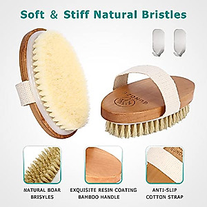 Gunoze Shower Brush Set, Dual-Sided Long Handle Back Scrubber with Soft and Stiff Bristles, and 2 Pack Dry Brushing Body Brush for Wet or Dry Brushing, Shower Body Exfoliating for Radiant Skin