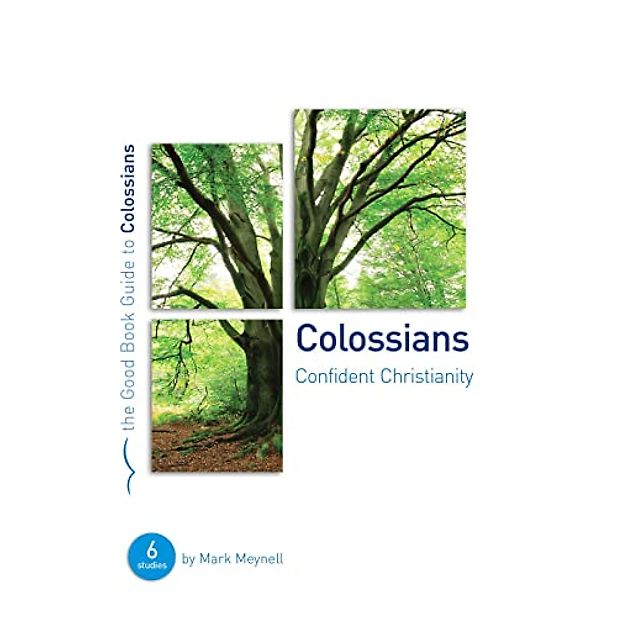 Colossians: Confident Christianity (Good Book Guides)