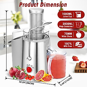 1200W 3 Speeds Centrifugal Juicer Machines Vegetable and Fruit, Regenerate Juice Extractor with Big 3" Wide Mouth, Compact Juice Maker, Easy to Clean, High Juice Yield, BPA Free, Silver