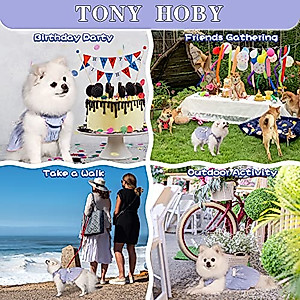 TONY HOBY Dog Dress, Dog Summer Dress, Dog Princess Dress Pleated with Bow-Knot, Soft Dog Tutu Outdoor Dress for Small Medium Dog (Blue, XS)