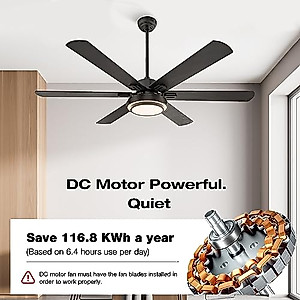 warmiplanet Ceiling Fan with Lights Remote Control, 62 Inch, Black, DC Motor (6-Blades)