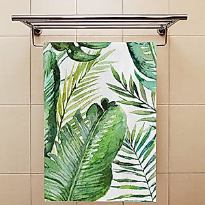 TOPCARPENTER Palm Leaf Tropical Hand Towels for Bathroom Palm Leaf Beach Towel Set of 2 Green Tropical Palm & Fern Leaves Bathroom Kitchen Decor Soft Quick Dry Super Absorbent 30 X 15 inch