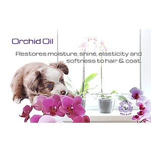 Pure Paws Reconstructing Essentials Shine Spray - 8oz