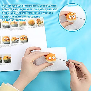 IMZAY Needle Felting Kit, Needle Felting Starter Kit, Needle Wool Felting Tools Kit with Felting Needles, Foam Mat, Wool Roving, Instruction, and Other Wool Felting Supplies- Orange Fish