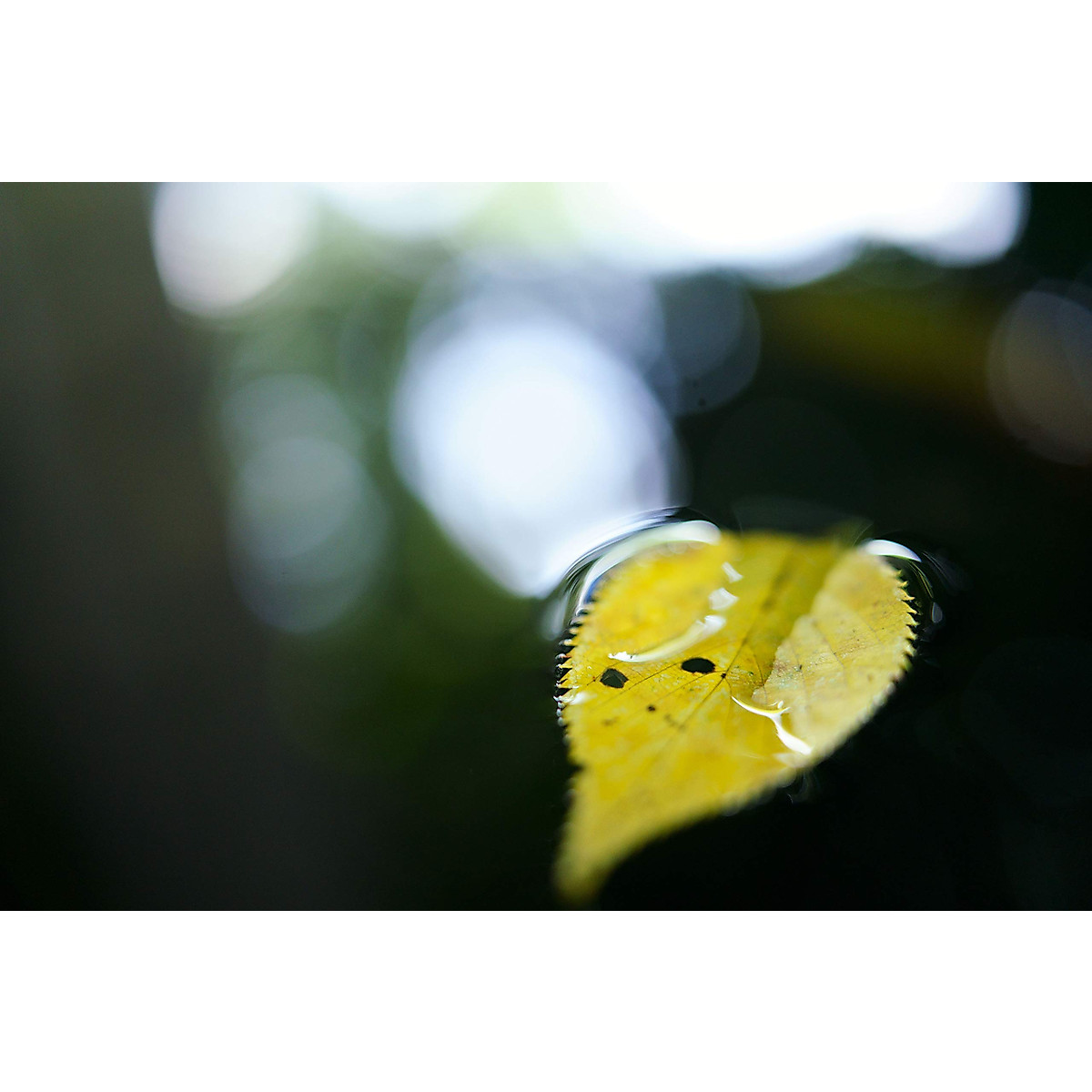 TAMRON F053SF 35mm f/2.8 Di III OSD Sony E-Mount, Black