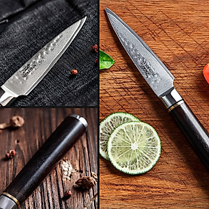 SHIRKHAN Damascus Paring Knife 3.5 Inch - Ultra Sharp Japanese Kitchen Fruit Knife - 67 Layers High Carbon Hand Hammered Steel Blade 10Cr15CoMoV - Ergonomic Ebony Wood Handle - Gift Box