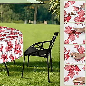 Cardinal Bird Pattern theme Outdoor Tablecloth Water Resistant Spillproof Table Cover with Zipper Umbrella Hole for Patio Garden Tabletop Decor,for outdoor umbrella table(60" Round,Dark Coral White)