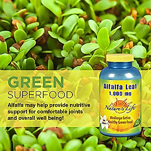 Nature's Life Alfalfa Leaf Tablets 1000mg | Vitamin Rich Green Superfood | Non-GMO | 500 Count