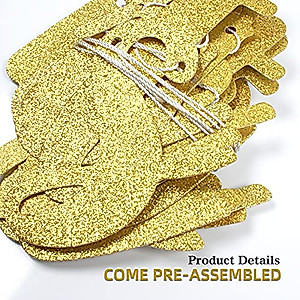 Straight Outta Chemo Banner, Cancer Survivor Party Decortions, Cancer Free, Life Party Bunting Garlands Supplies (Gold Glitter)