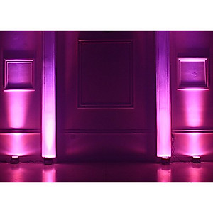 ADJ Products 1226200045 Mega Par Profile Plus, Multi-Use LED Par Can Lighting Fixture with RGB and UV MEG358