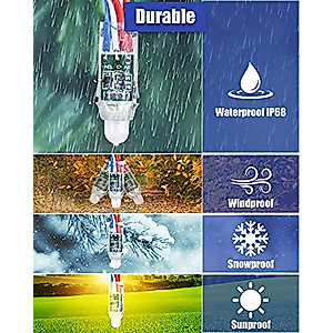 GMJYC DC 5V 50pcs WS2811 Pixels Christmas Lights Outdoor Individually Addressable IP68 Waterproof LED String Lights Diffused Digital RGB LED Lights Full Color 12mm, for Garden/Party/Advertising Signs