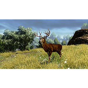 Cabelas Outdoor Adventure 2010 - Nintendo Wii