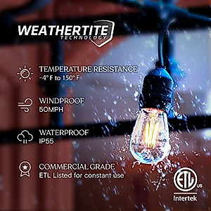 Brightech Ambience Pro - Waterproof LED Outdoor String Lights - 7 Hanging, 2W Dimmable Vintage Edison Bulbs, 24 Ft Commercial Grade Patio Lights Create Cafe Christmas Ambience in Your Backyard