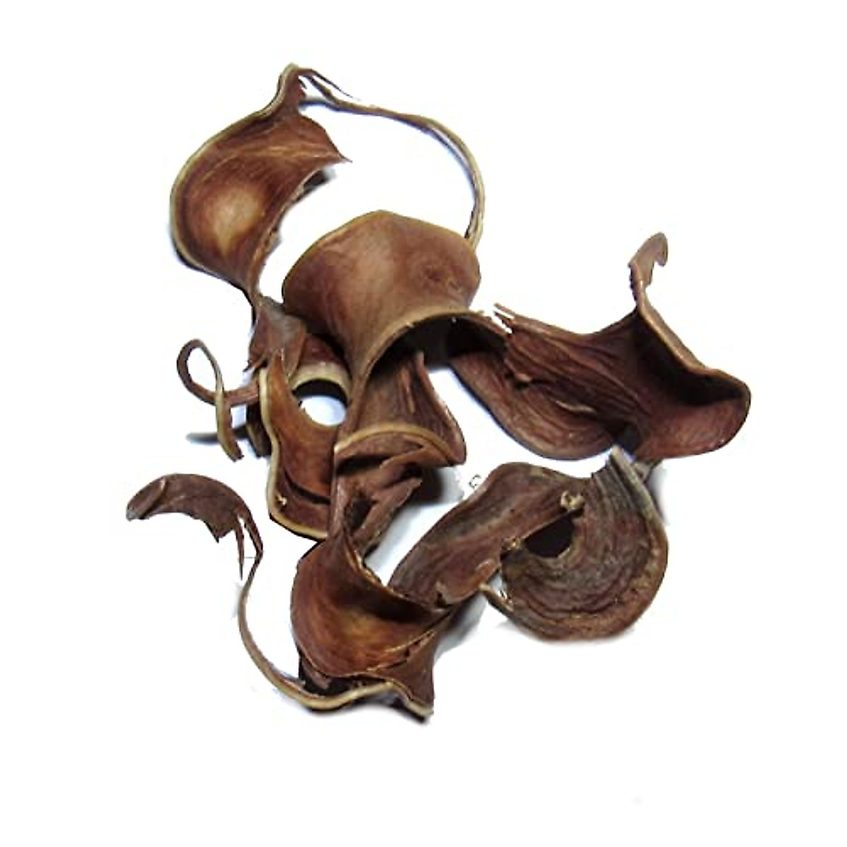 Box Lot of 30 Botanicals for Aquariums: Indian Almond Leaves, Cholla Wood, Birch Cones, Lotus Lafi Twistie Curve Pods, Pear Halves Pods, Coco Curls, Banana Sticks for Freshwater Blackwater Tannins