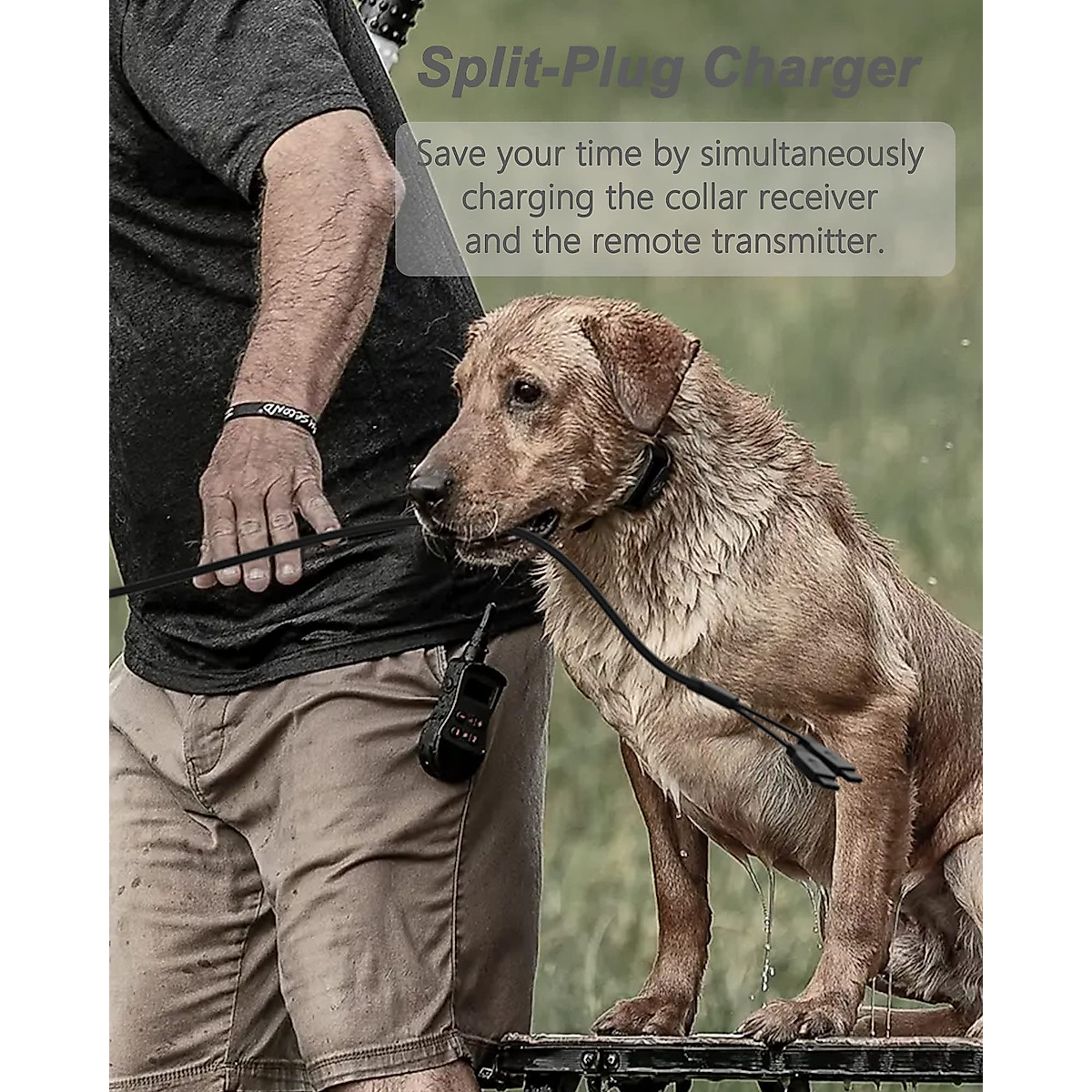 VHBW USB Charger Replacement for Sportdog SD-425, SD-425S, SD-425CAMO, and SD-825 Shock Collar Charging Adaptor