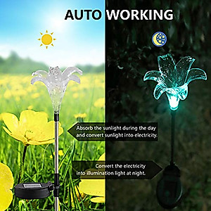 2PCS Waterproof Outdoor Solar Garden Stake Lights with Vivid Figurine – Lily LED Garden Landscape Lawn Lamp for Flower Beds Backyards Decoration