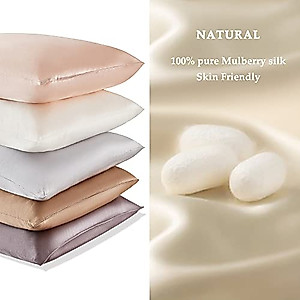 Silk Pillowcase, 100% Mulberry Silk 22 Momme Both Sides Silk Pillow Cases Queen Size for Hair and Skin with Gift Box, 1 Pc (Queen, Cloudy Grey)