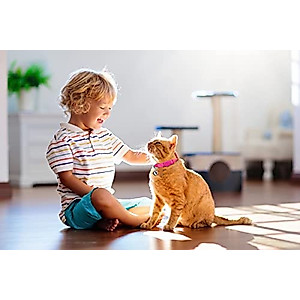 Uteuvili 12 PCS Breakaway Cat Collars with Bell Colorful Soft Safety Buckle Cat Collars Adjustable Breakaway Kitten Collars Safety Collars for Cats, 7 in-11 in