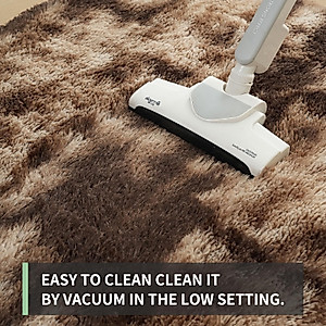 Large Shag Area Rugs 8x10 Feet, High Pile Fuzzy Rugs for Living Room, Ultra Soft Fluffy Furry Rugs for Bedroom, Anti-Skid Indoor Carpet Nursery Rugs for Kids Room Home Decor, Brown