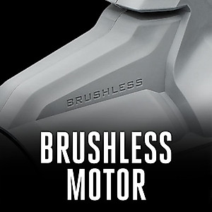 EGO Power+ LB6153 615 CFM 56-Volt Lithium-ion Cordless Blower with 4.0Ah Battery and Charger Included,Black