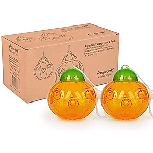 Aspectek Wasp Trap Outdoor or Indoor Hanging Helps You to Rescue from Insects, Yellow Jackets, Hornets, Honey Bees, Flies, Gnat, etc, 2 Pack