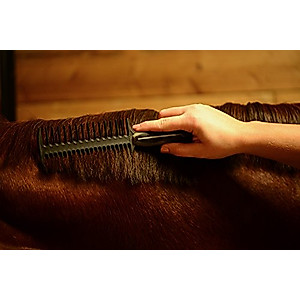 WAHL Professional Animal Equine Grooming Mane and Braiding Horse Comb, Black (858708)