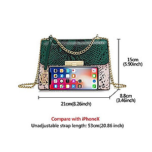 LAORENTOU Snakeskin Cow Leather Crossbody Handbags Purses for Women Lady Satchel Shoulder Bags with Chain Strap (01 Snake Green)