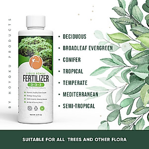 Bonsai Fertilizer by Ho Yoku - Water Soluble and Free of Odor, 3-3-3 Liquid Bonsai Food and Fast Acting for Indoor Plants