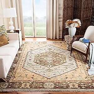 Safavieh Samarkand Collection 9' x 12' Blue/Brown SRK107M Hand-Knotted Wool Area Rug