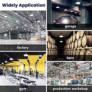 Royana 10 Pack 300W LED High Bay Light, 110V LED Shop Lights, 6000K 30000LM UFO Warehouse Light, with 4ft Cable US Plug, Hook Mount, Garage, Factory, Warehouse, Workshop, Area Light