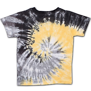 BATMAN Warner Bros Boys Short Sleeve Shirt and Shorts Set for Toddler and Little Kids – Yellow/Black