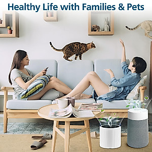 2 Pack Mini Max Air Filter Replacement, Filter Compatible with BLUEAIR Blue Pure Mini Max Air Purifier, True HEPA H13 Filter +Activated Filter