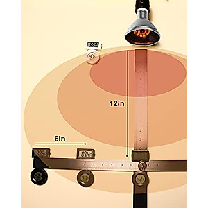 C-Raptile Deep Heat Projector 100W Infrared Reptile Heat Lamp Bulbs Reptile Light