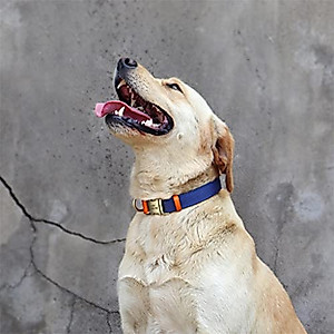 DHTDVD Nylon Large Dog Collar Custom Dog Name Collars Pet Engraved Name Phone Collar for Retriever Walk (Color : D, Size : Small)