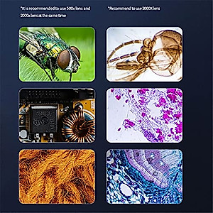 ADFSFD 2000x Dual Lens Electronics Digital Microscope USB Phone PC Video Microscope for Microbial Observation