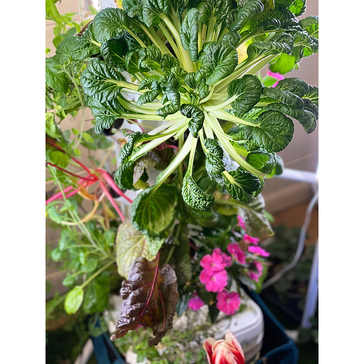 EXO Garden Hydroponic Growing System Vertical Tower - Vegetable Plant Tower Gift for Gardening Lover - Automate Aeroponics Mini Indoor Outdoor Home Grow Herb