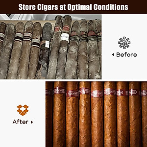 Glass Top Cedar Humidor with Front Hygrometer, Humidifier, Divider, and Accessory Drawer, Desktop Cedar Wood Cigar Box Holds 20-30 Cigars, Cigar Accessories for Men