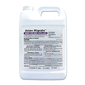 Avian Migrate Goose Deterrent, Bird Repellent Concentrate, Geese Repellent, Non-Toxic, Made in The USA, Removes Geese from Beaches, Yards, Ponds, Parks and Ground (One Gallon)