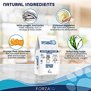 Forza10 Active Dry Weight Control Cat Food for Adult Cats, Dry Cat Food Weight Control for Overweight Cats and with Metabolism Disorders, Wild Caught Anchovy Flavor, 4 Pound Bag