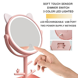 Nonebranded Vanity Mirror with Lights & Desk Mirror Lights Touch-Screen Light Control Portable High Definition Cosmetic Lighted Up Mirror with USB Port in 360 Degree Rotation(Pink)