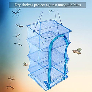 Mesh Drying Net, PE Collapsible Mesh Hanging Drying Net Anti-Fly Cage Dry Food Storage Carrying Bag for Environmentally and Scientifically Protect Dry Dried Fish and Dried Vegetables (35cm)