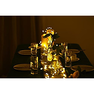 Dailyart 6feet 120 LED Starry Lights, Battery Operated Waterproof Dark Green Copper Wire Fairy Light String Light for Garland, Wreath, Patio, Garden, Wedding, Party, Xmas