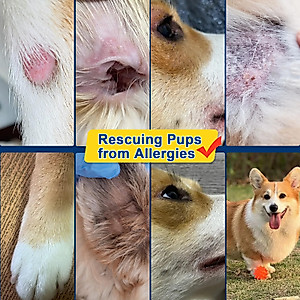 Dog Allergy Relief, Itch Relief for Dogs, Colostrum, Probiotics for Dogs Support Immunity, Omega3, Honey for Dry & Itchy Skin Relief, Seasonal Allergy, Pawlicking, Hot Spot Treatment, 115 Immune Bites