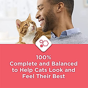 Cat Chow Complete High Protein with Salmon Cat Food Dry Formula - (4 Packs of 4) 3.15 lb. Bags