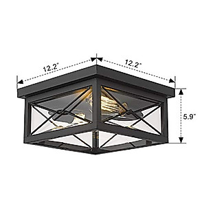 Emliviar 12 Inch Ceiling Light Fixture, 2-Light Flush Mount Ceiling Light in Black Finish, 0387B-CL BK